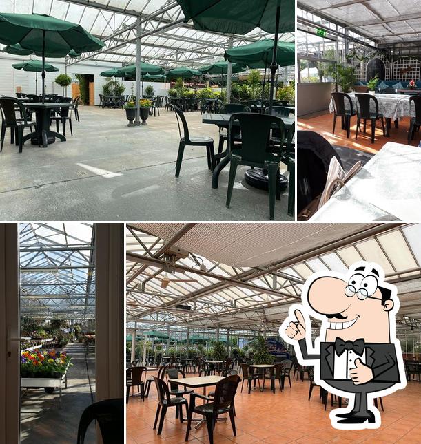 The Palm House Restaurant in Chichester - Restaurant reviews