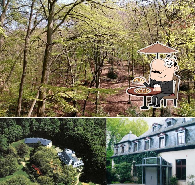 Hotel Haus Hohenstein, Witten - Restaurantbewertungen