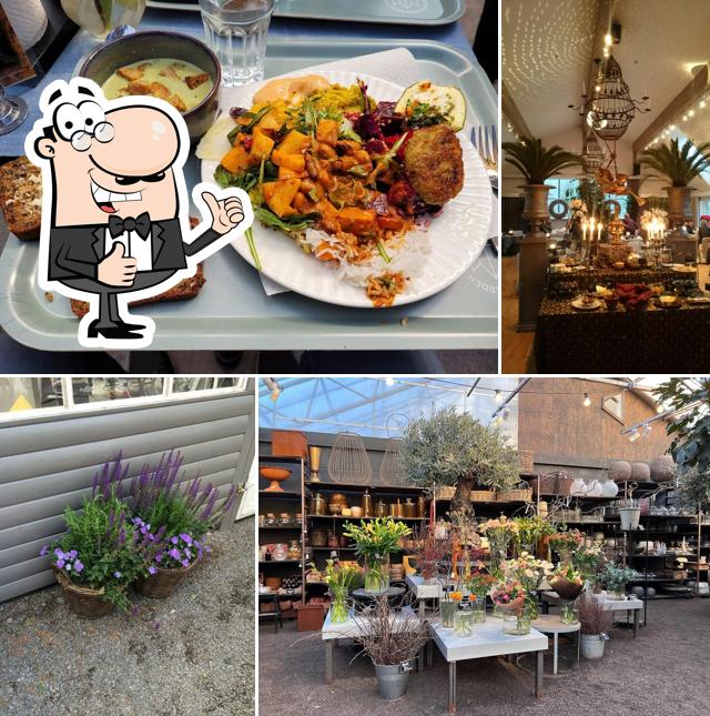 Ulriksdal Trädgårdscafé, Solna - Opiniones del restaurante