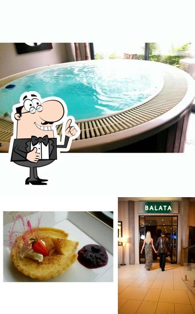 Balata Restaurant, The Fairway Hotel, Randburg - Restaurant menu and ...
