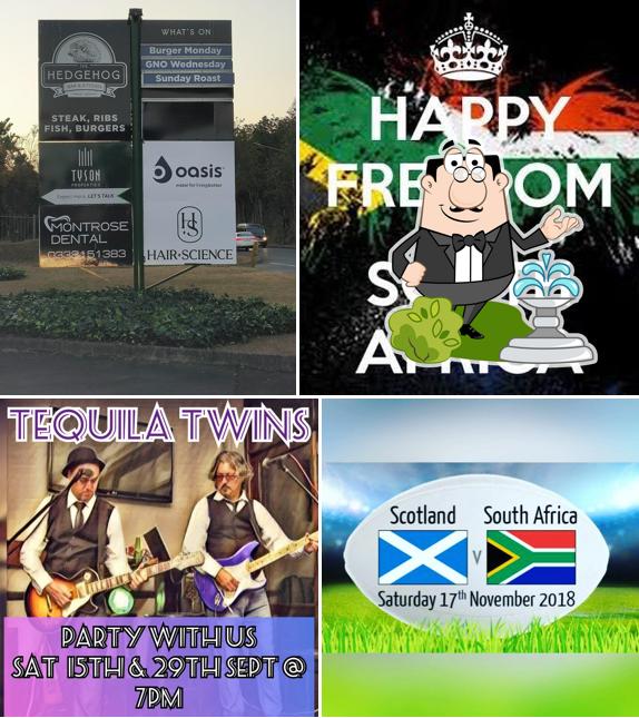 The Hedgehog Bar & Kitchen, Pietermaritzburg - Restaurant menu, prices ...