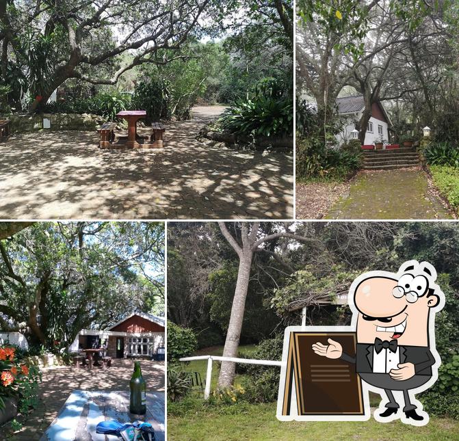 Top 5 restaurants with kids play area in Port Elizabeth, december 2025 ...
