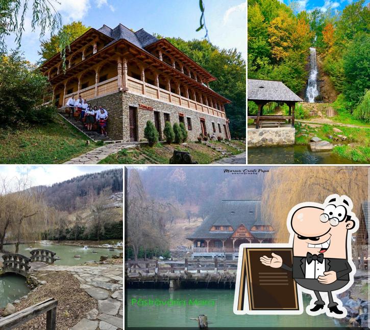 Păstrăvăria Alex, Mara, Mara, 89 - Restaurant reviews