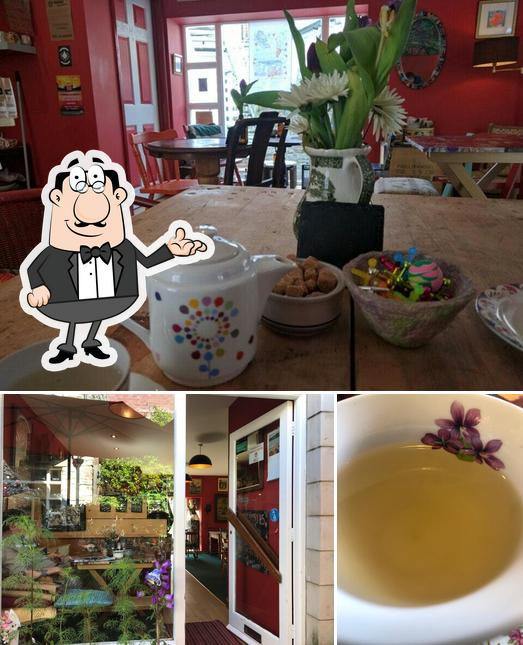 Java Coffee House in Swanage - Restaurant reviews