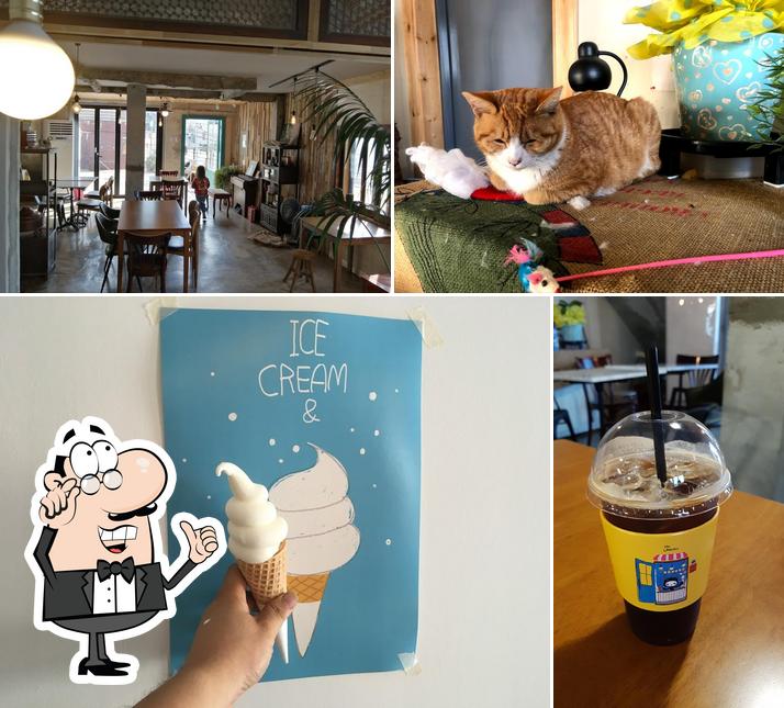 the Lazy Cat cafe, Busan - Restaurant reviews