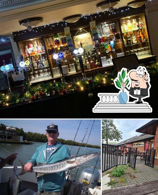 The Elm Tree, Stockton-on-Tees - Restaurant menu, prices and reviews