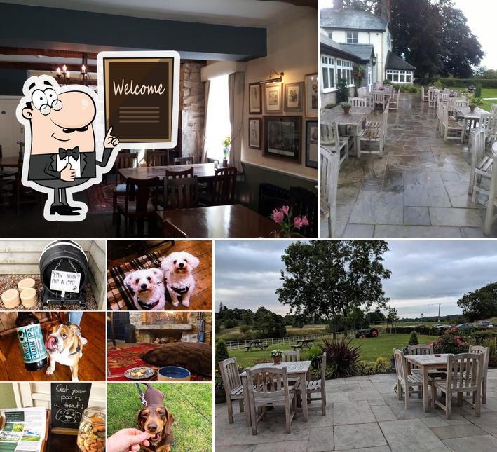 The Aspinall Arms, Mitton Rd in Clitheroe - Restaurant menu and reviews