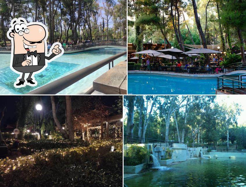 Piu Verde, Papagou - Restaurant menu and reviews
