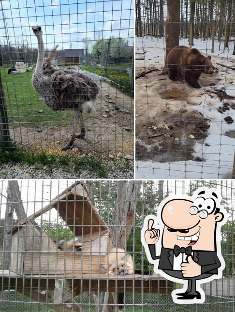 Shalom Wildlife Zoo, West Bend - Restaurant menu, prices and reviews