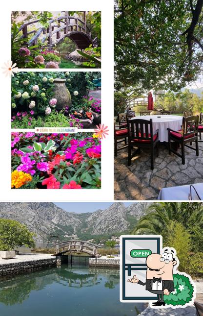 Stari Mlini, Dobrota - Restaurant menu, prices and reviews