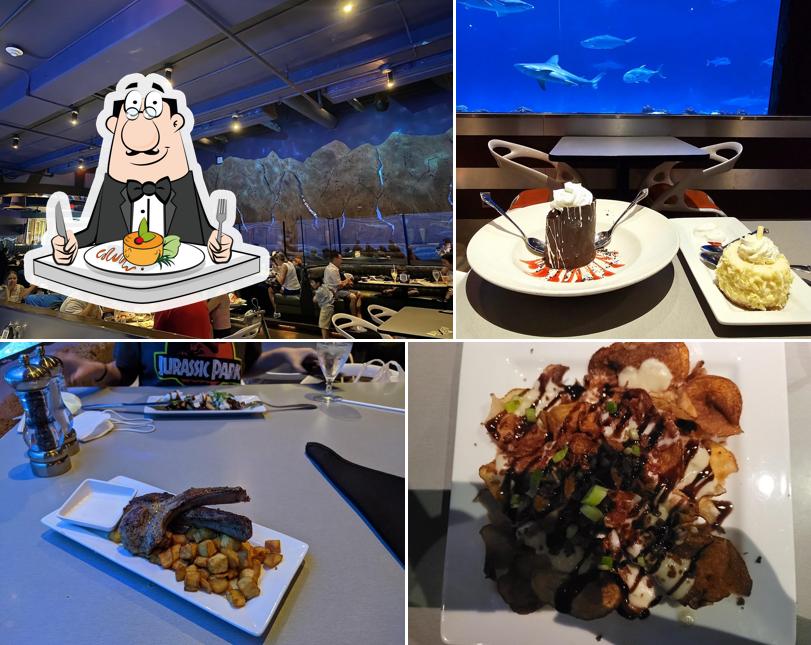 Sharks Underwater Grill in Orlando - Restaurant menu and reviews