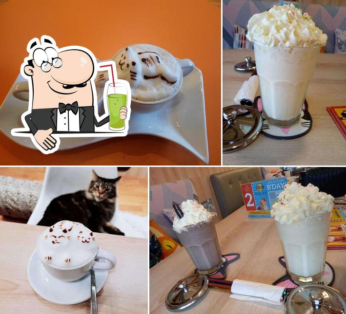Kopi Cat Cafe By Groovy - Bintaro, South Tangerang, Groovy Pet Store ...