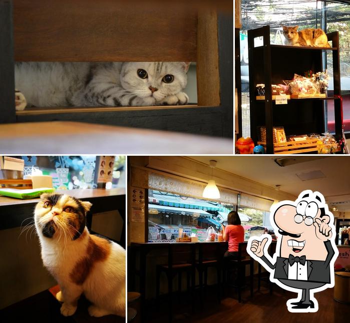 Nuan Nom Coffee นวลนม cafe, Bangkok - Restaurant menu and reviews