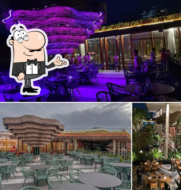 The Palms Brew and Kitchen, Bengaluru - Restaurant menu, prices and reviews