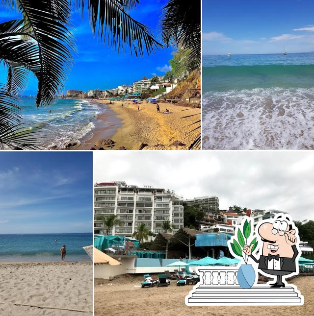 Mantamar Beach Club Bar & Sushi, Puerto Vallarta - Opiniones del ...