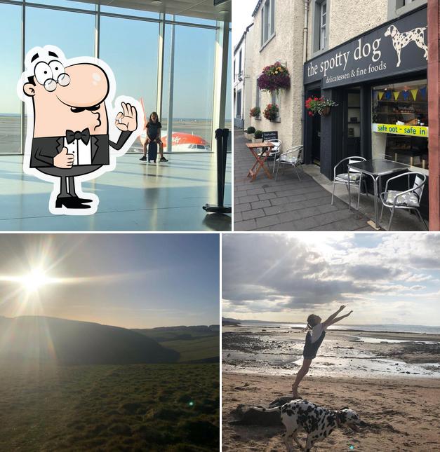 Top 5 places to eat in Lauder, november 2025 - Restaurant Guru