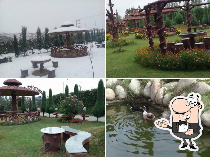 Marigold Resort, India - Restaurant reviews