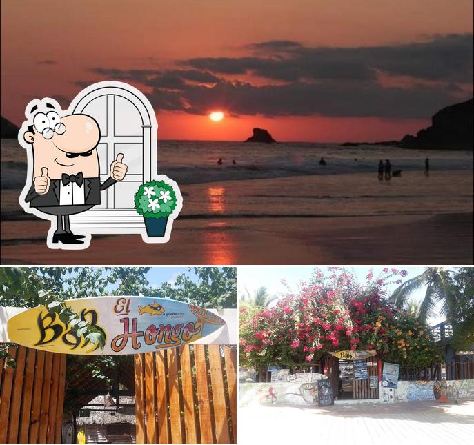 El Hongo pub & bar, Mexico - Restaurant reviews