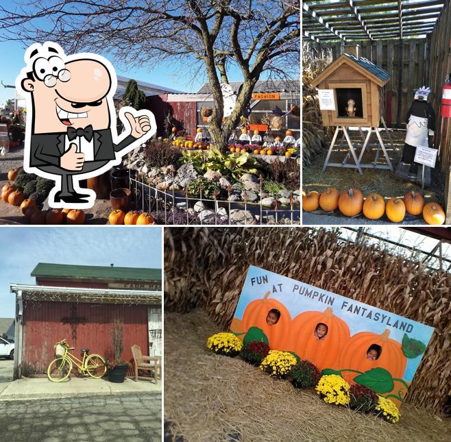 Fashion Farm Inc in Ligonier - Restaurant menu and reviews