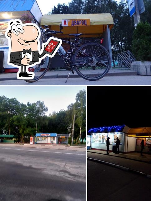 Mini-Kafe cafe, Dvorets - Restaurant reviews