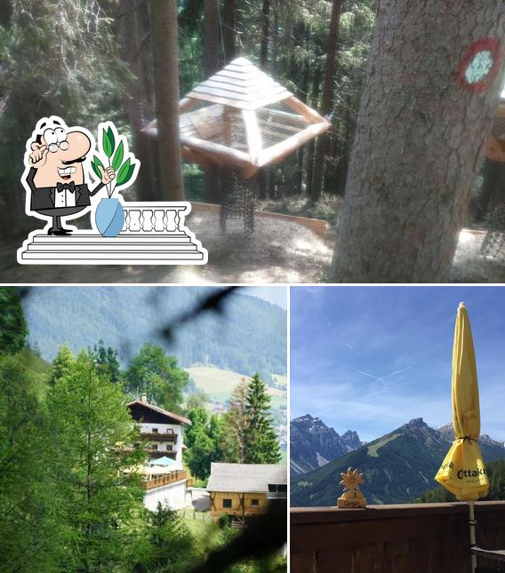 Berggasthof Vergör restaurant, Fulpmes - Restaurant reviews