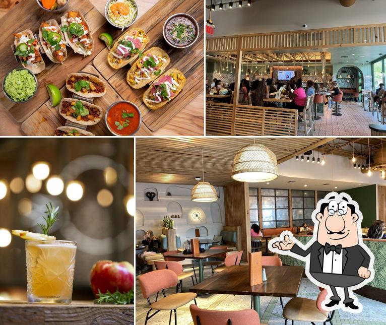 Local Lime Germantown, Germantown - Restaurant menu, prices and reviews