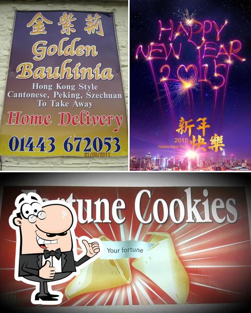 Golden Bauhinia Chinese Take Away in Gilfach Goch - Restaurant reviews