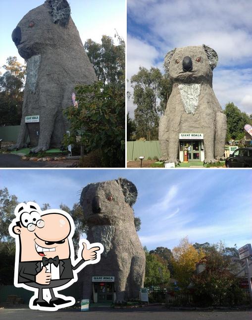 Giant Koala Restaurant Tourist Complex, Dadswells Bridge - Restaurant ...