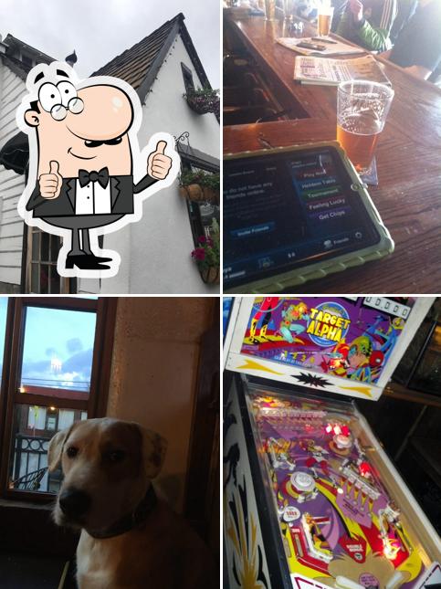Sully's Snow Goose Saloon in Seattle - Restaurant menu and reviews