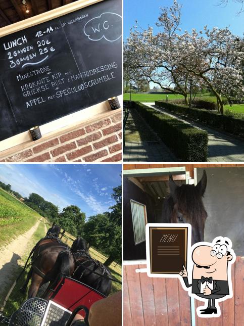 De Koetsier, Sint-Pieters-Leeuw - Restaurant reviews