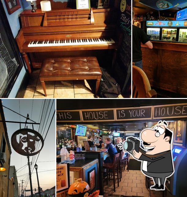 Dog & Bull Brew & Music in Croydon - Restaurant menu and reviews
