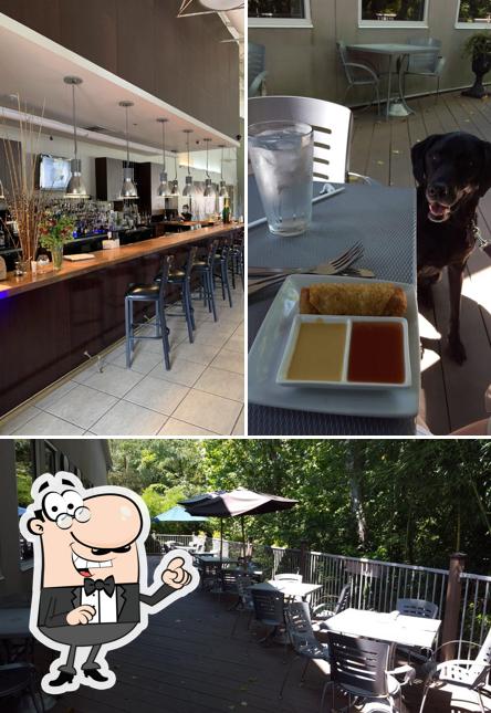 August Moon Chinese Bistro in Louisville - Restaurant reviews