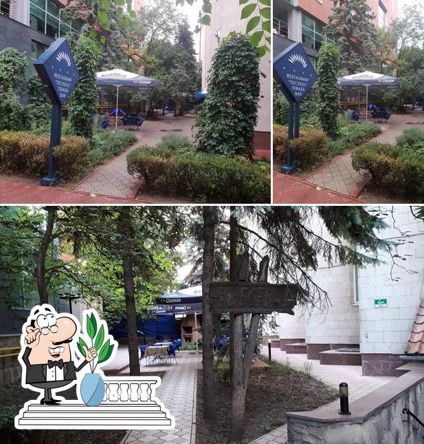 Restaurant Decebal, Chisinau - Restaurant reviews