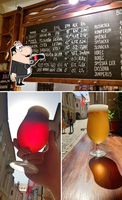 Studňa - umelecký klub, street food, craft beer a borovička bar ...