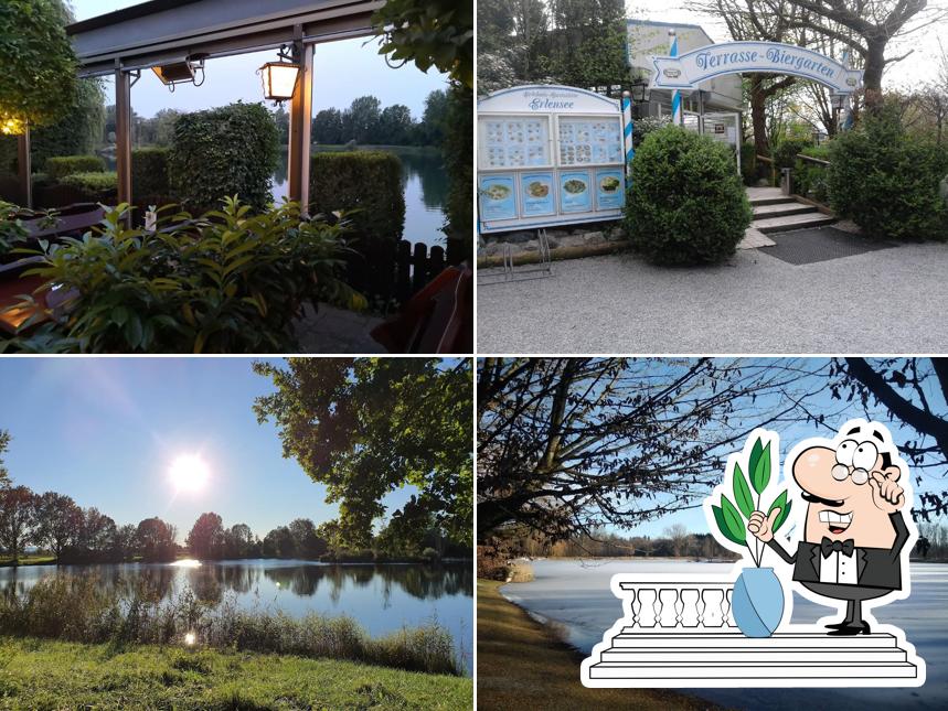 Alle Lokale in Schechen , Herbst 2023 - Restaurant Guru
