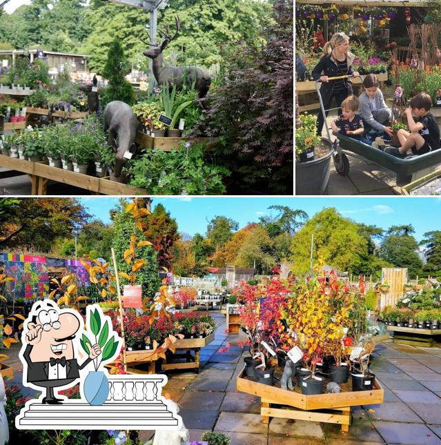Notcutts Woodbridge, Woodbridge - Restaurant menu, prices and reviews