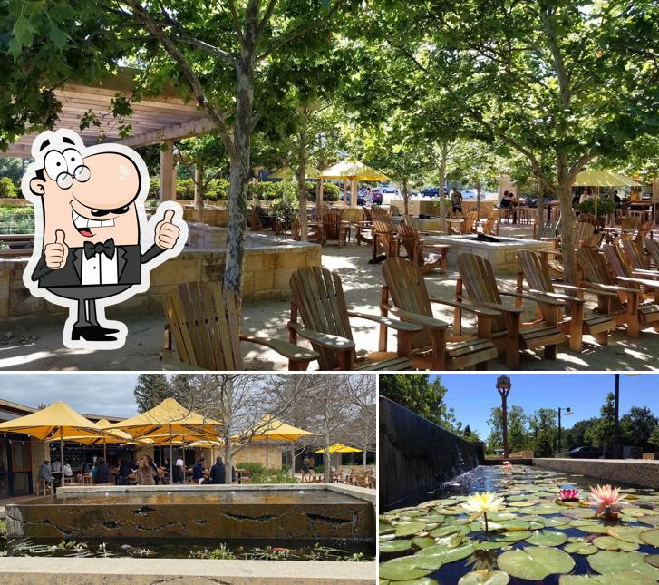 R+D Kitchen in Yountville - Restaurant menu and reviews