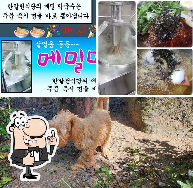 Han-Alcheon restaurant, Okcheon-gun - Restaurant reviews
