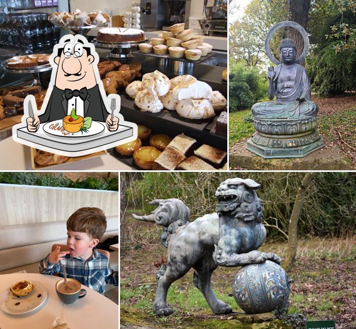 Batsford Arboretum and Garden Centre in Moreton-in-Marsh - Restaurant ...