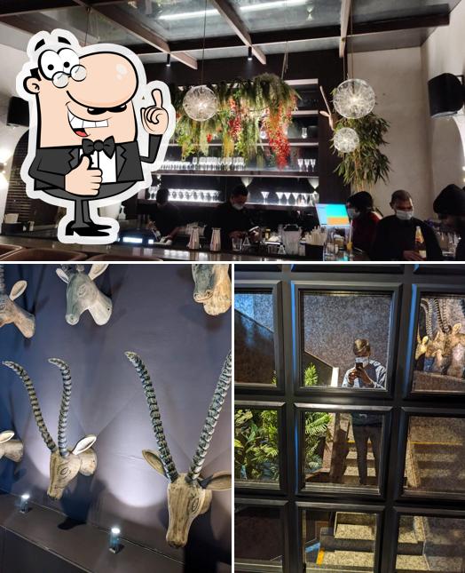 SOROS - Kitchen & Bar, Ranchi - Restaurant menu, prices and reviews