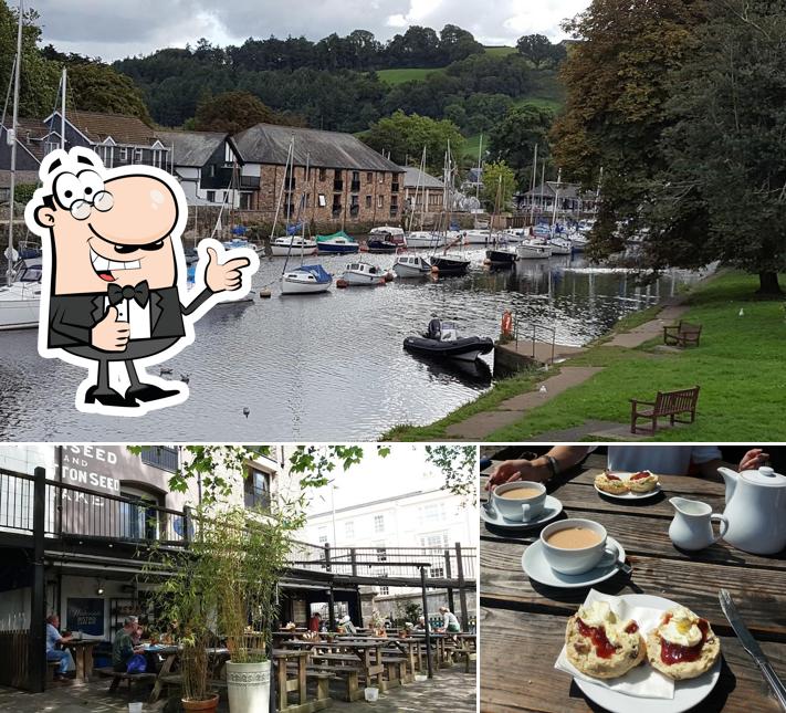 Waterside Bistro in Devon, The Plains in Totnes - Restaurant reviews