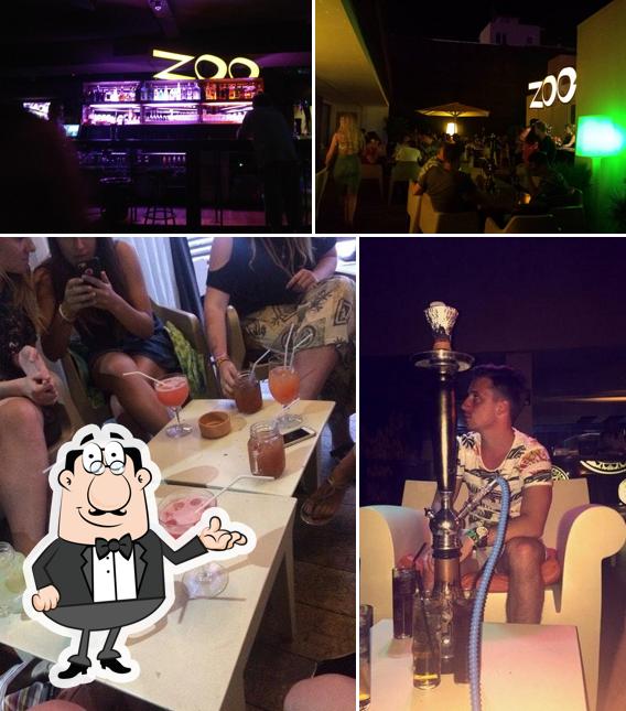 Club Zoo, Lloret de Mar - Menú del restaurante, precios y reseñas