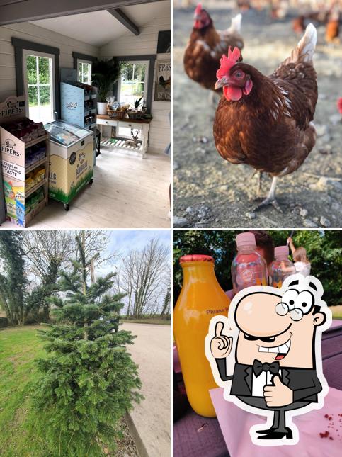 Stretton Hall Farm Shop, Clay Cross - Restaurant menu, prices and reviews