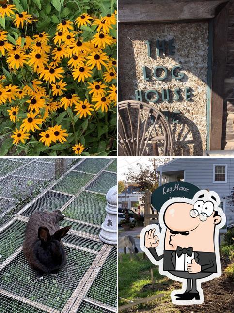 Log House 1776 Restaurant, Wytheville - Restaurant menu, prices and reviews