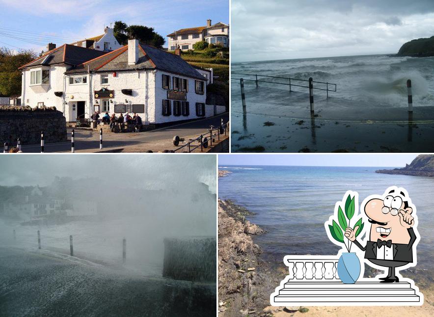 Rising Sun Inn in Portmellon - Restaurant reviews
