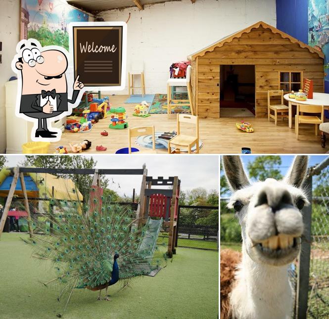 Clonfert Pet Farm in Ireland - Restaurant reviews