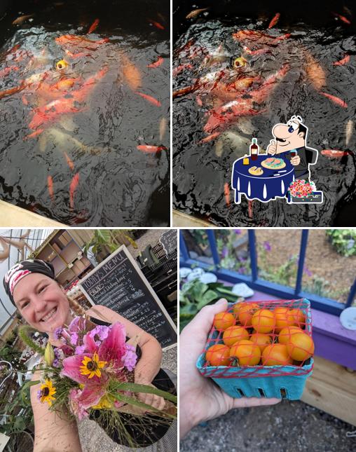 Mapleville Farm, Burrillville - Restaurant menu, prices and reviews