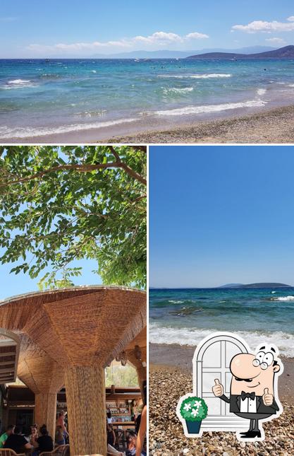 ALOHA plaka beach bar restaurant, Drepano - Restaurant menu, prices and ...