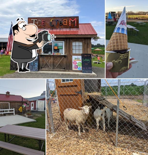 Hadley Scoop at the Silos ice cream farm, Hadley - Menú del restaurante ...