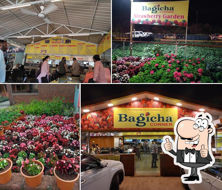 Bagicha Corner, Mahabaleshwar, WMPG+R78 - Restaurant reviews